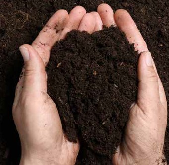 Żyzna gleba gwarancją wysokich i stabilnych plonów